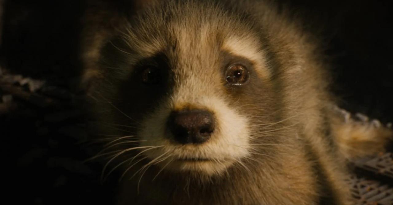 A l'origine, la triste histoire des Gardiens de la Galaxie 3 aurait dû être celle d'un film ...